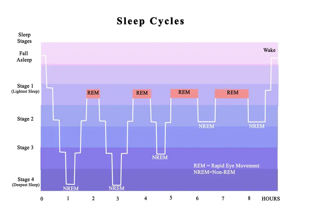 What Happens When You Sleep High Rest Equation
