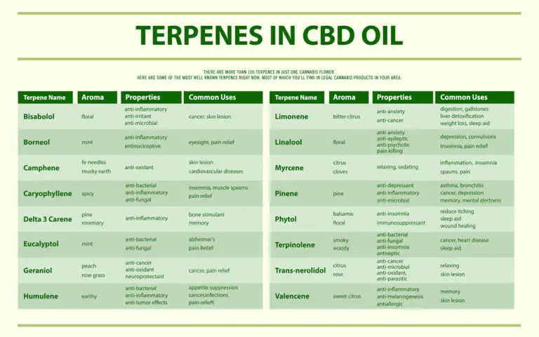 Discover the Power of Terpenes for Stress Relief - Your Calm Mind Guide